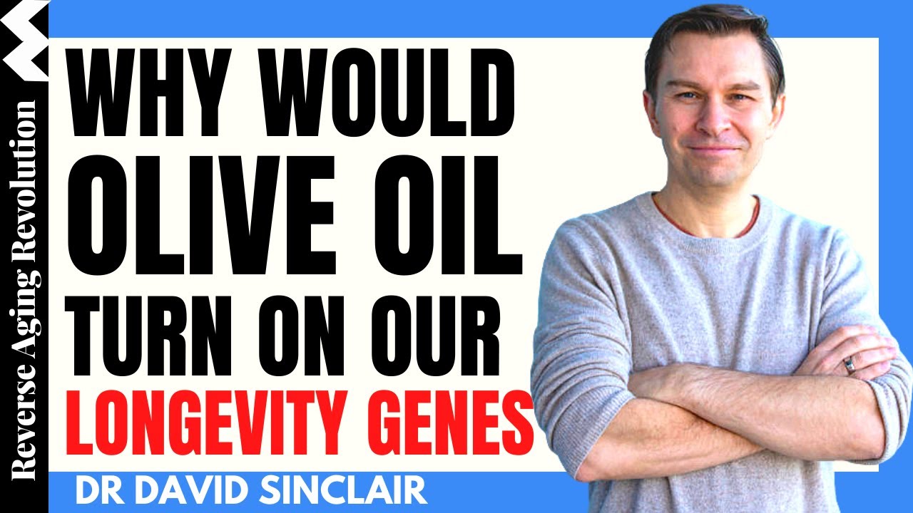 WHY Would OLIVE OIL Turn On Our LONGEVITY GENES? | Dr David Sinclair Interview Clips | Longvty